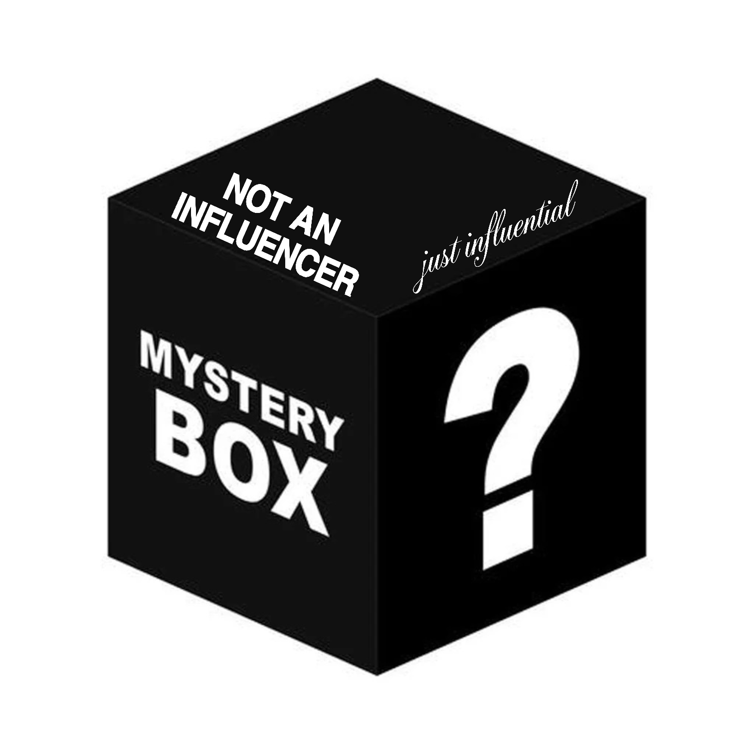 MYSTERY Fitted Hat – Not An Influencer